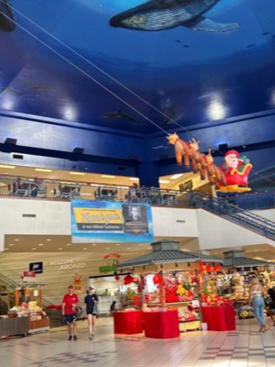 I'm In Hawaii - iminhawaii.com