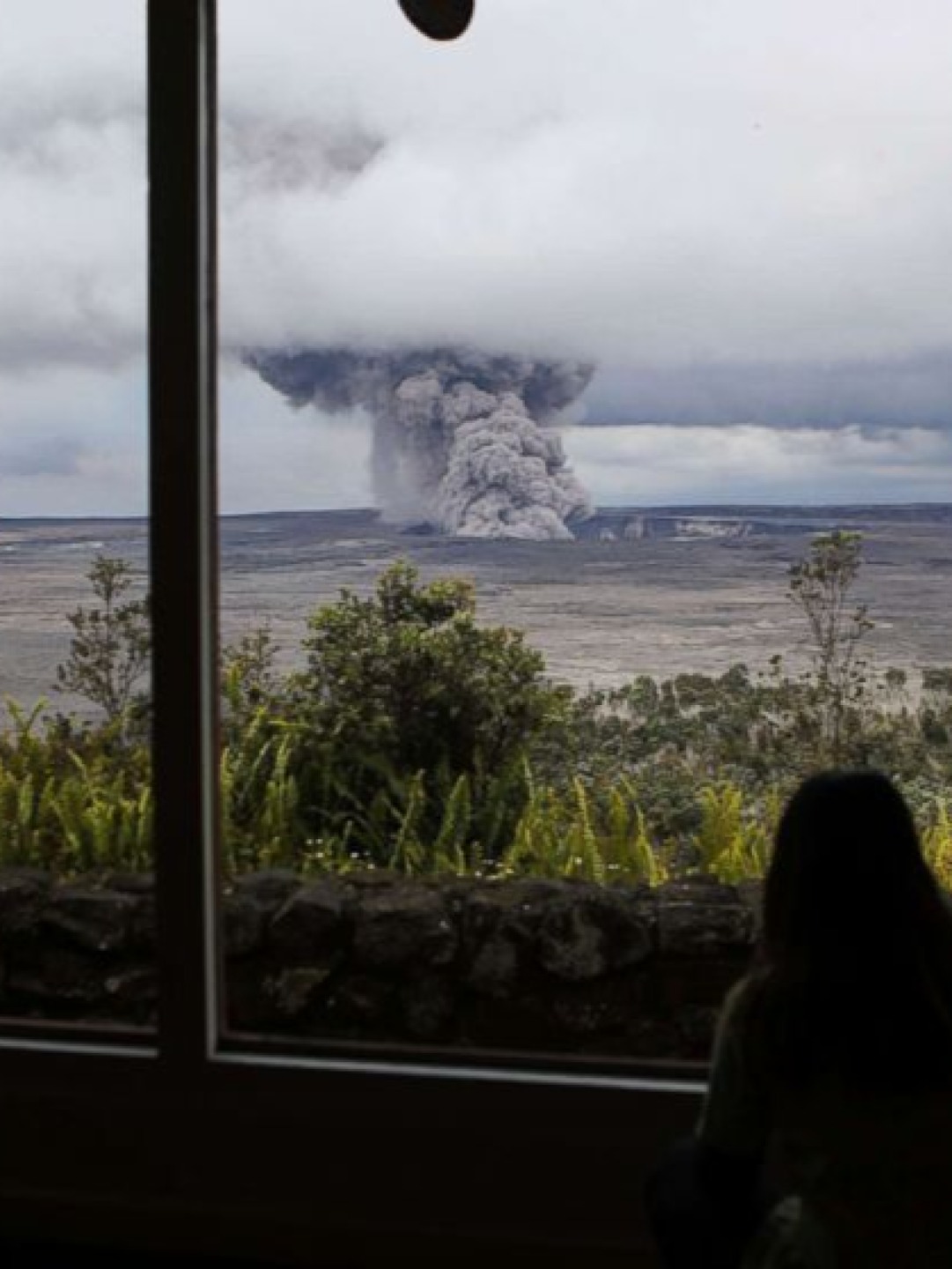 I'm In Hawaii - iminhawaii.com