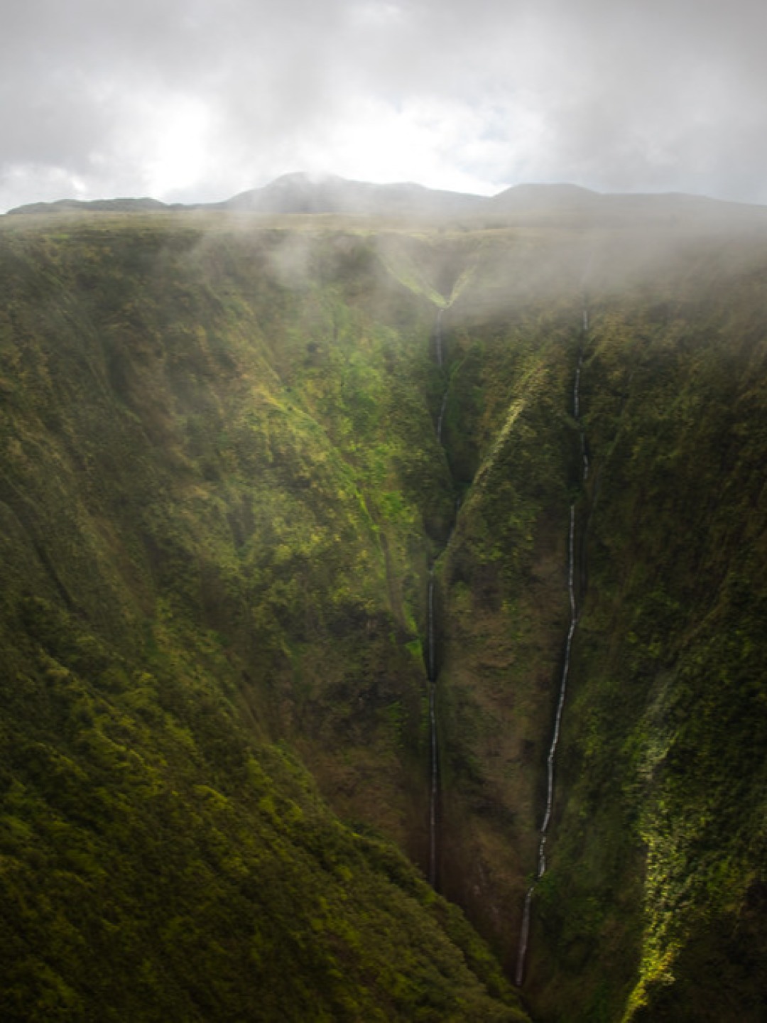 I'm In Hawaii - iminhawaii.com